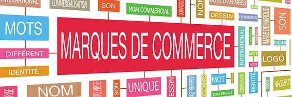 LA PERSONNALITÉ DE VOTRE MARQUE : COMMENT APPRENDRE À LA CONNAÎTRE ET À ...